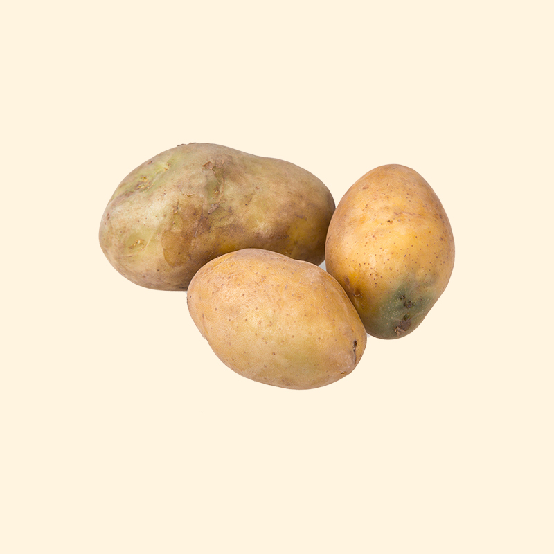 Potato – Prestigio & Tradicion